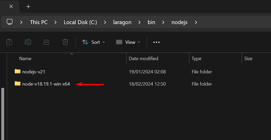 Cara Menambahkan Versi Node.js di Laragon - Codingduluaja